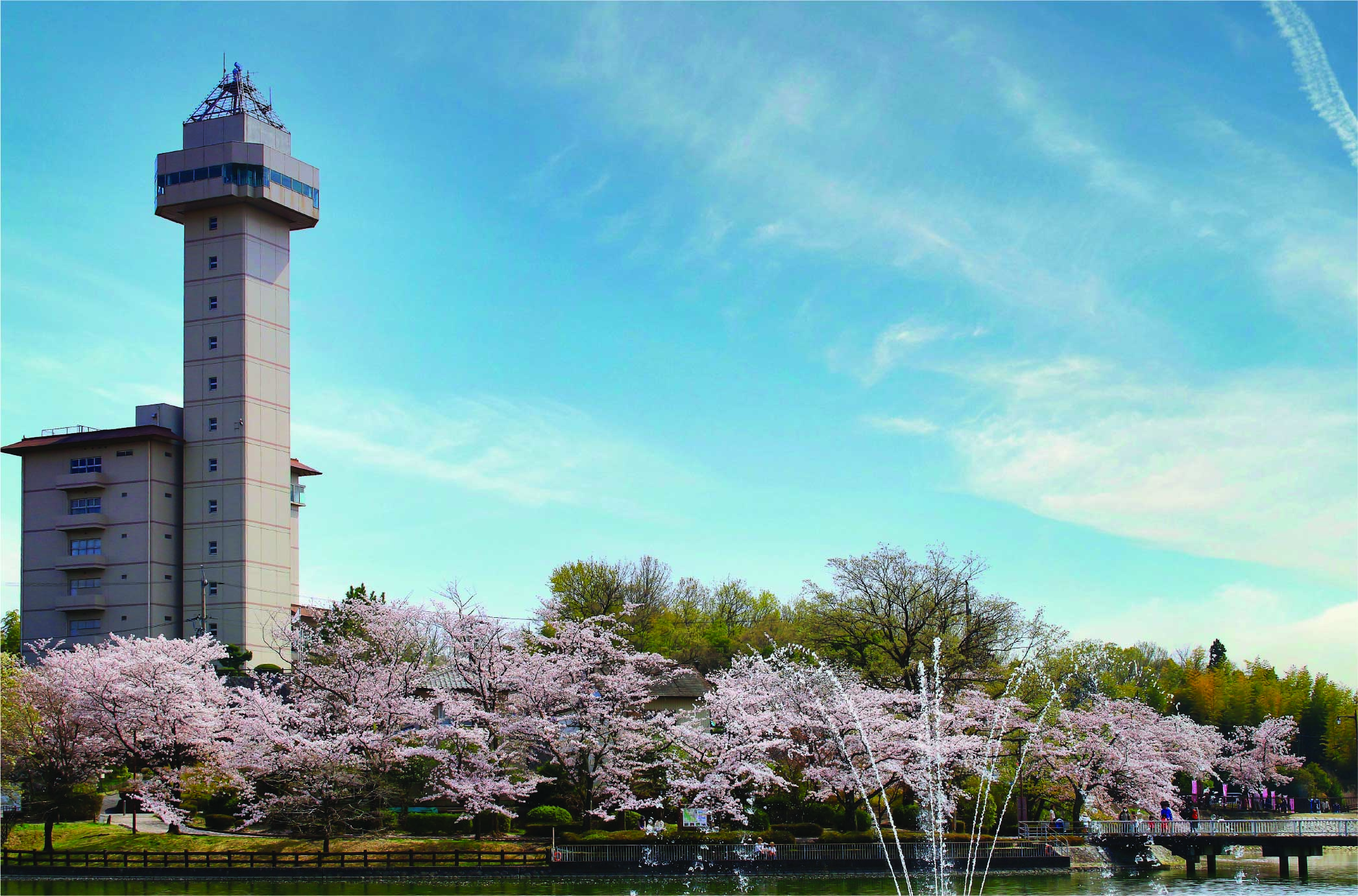 Personal safety through limits - 減塩・減油・減食品ロス【國光セントラルキッチン COCCOU】